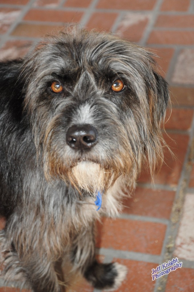 ActorsEntertainment.com ® | Tribute to Actor and Casting Director Steve ...